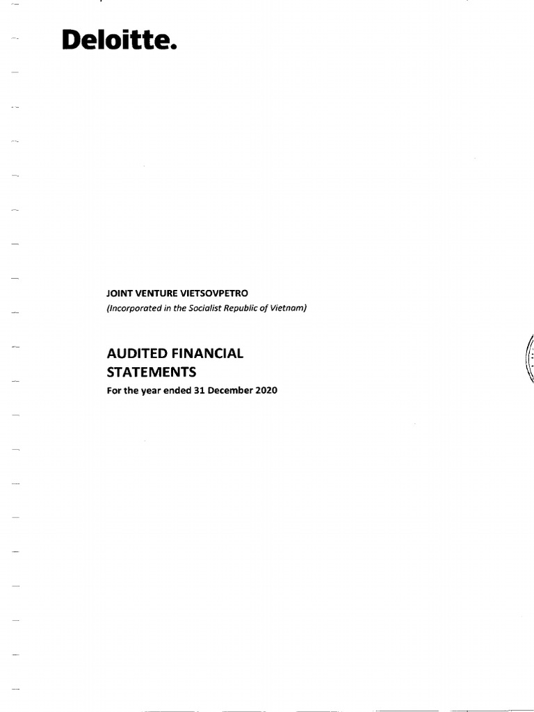 Audited Financial Statements 2020 | PDF | Financial Audit | Service ...