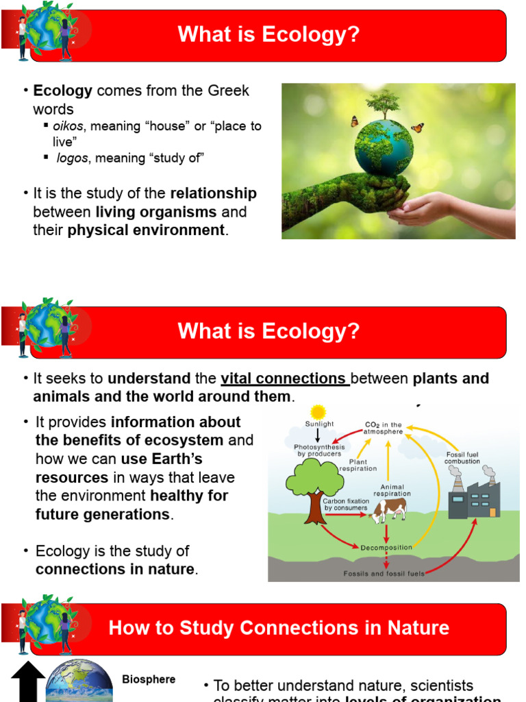 Lesson 2 Environment and ECOLOGY Part 3 | PDF | Ecology | Natural Environment