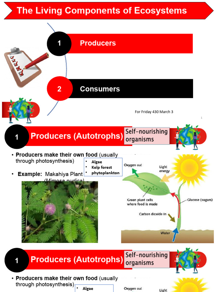 Lesson 2 Environment and ECOLOGY Part 5 | PDF | Predation | Digestion