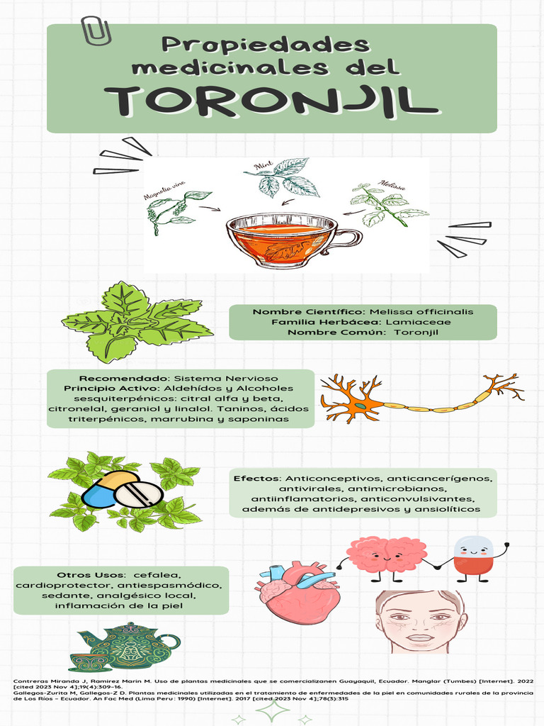 Propiedades Del Toronjil | PDF | Salud y bienestar