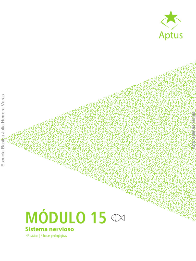 2023 4 Basico Ciencias Naturales Modulo 15 Cuaderno de Trabajo Del Alumno | PDF | Cerebro ...