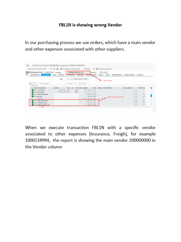 FBL1N Vendor Display Error Explained | PDF | Law