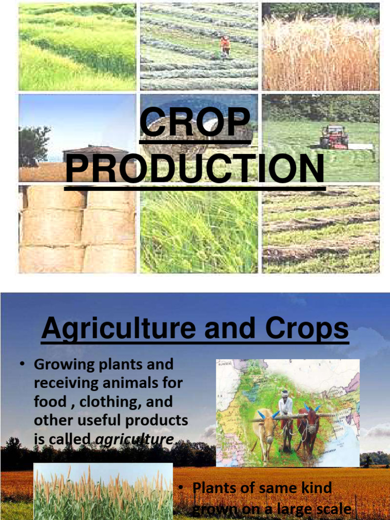 Crop Production 160216131603 | PDF | Sowing | Herbicide