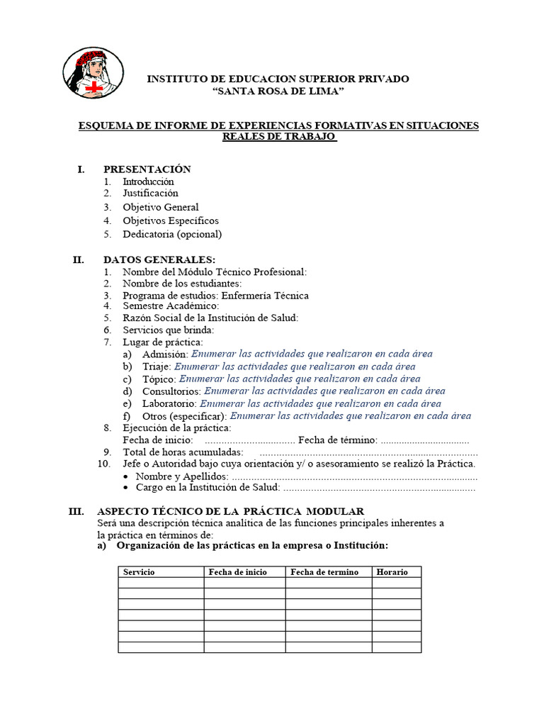 Modelo de Informe para Estudiantes - 2023 | PDF