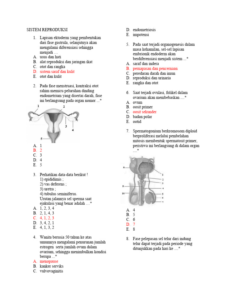 Sistem Reproduksi | PDF