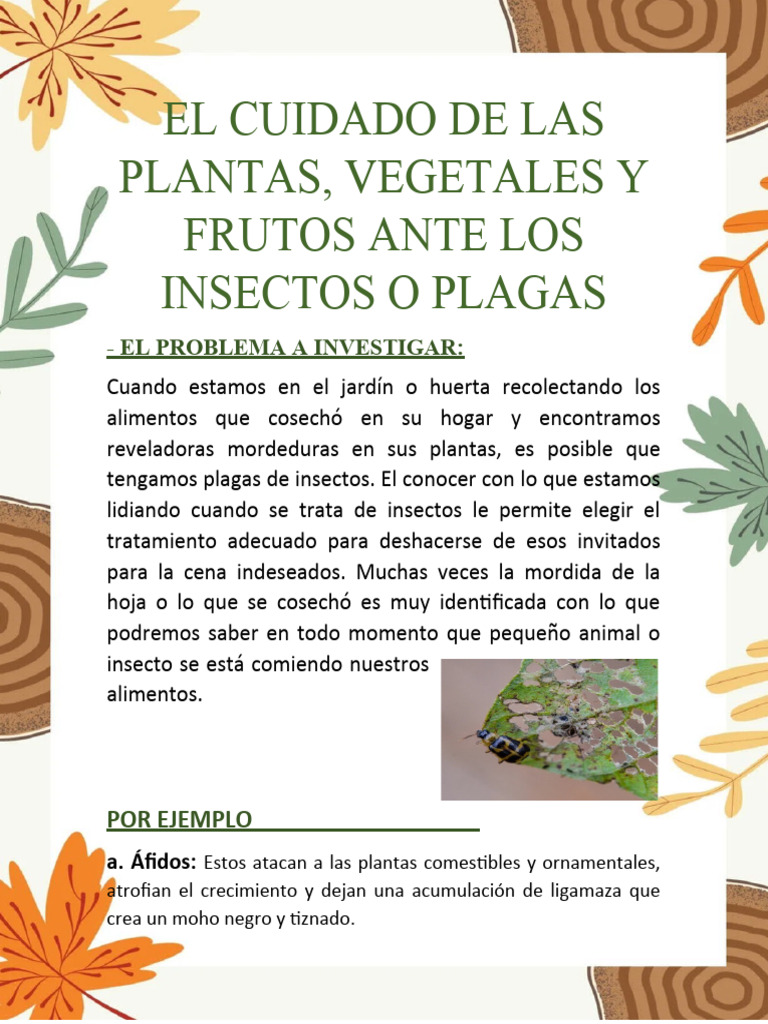EL CUIDADO DE LAS PLANTAS - sayu mendez | PDF
