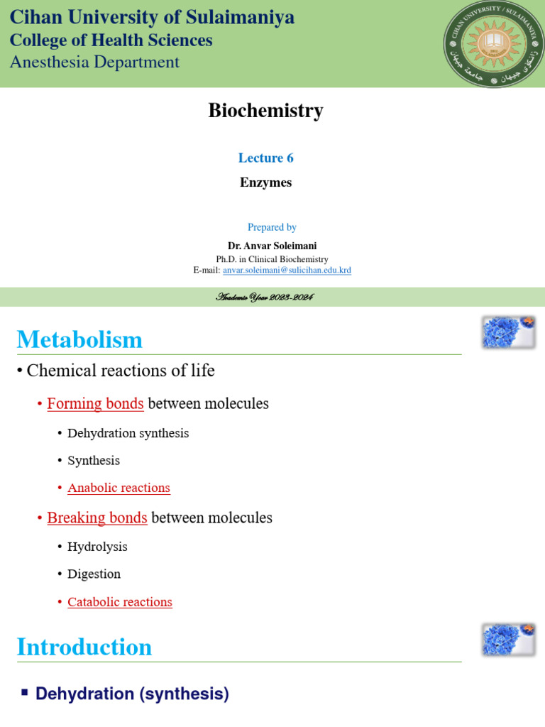 Lecture 6 Theory - Enzymes | PDF | Enzyme | Active Site