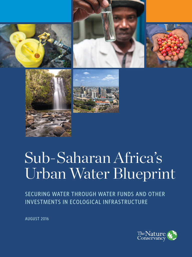 Urban Water Blueprint Region Africa Aug2016 | Download Free PDF ...