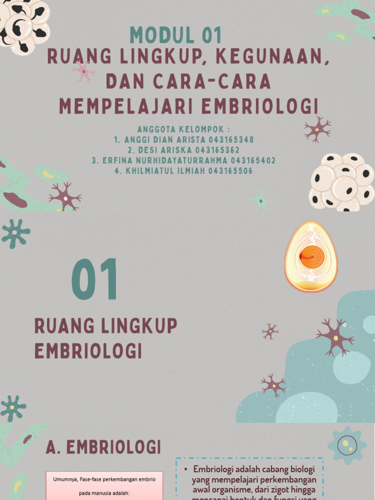 Modul 1 Embrio Hewan | PDF