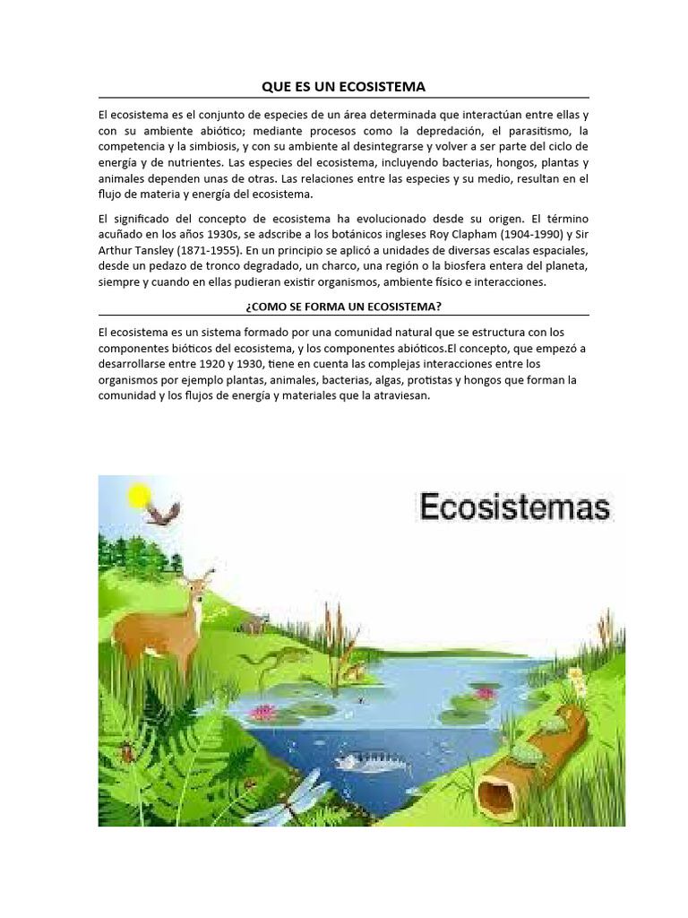 Que Es Un Ecosistema | PDF
