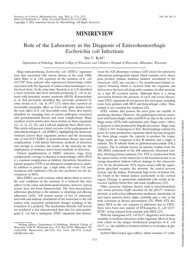 Escherichia Coli | PDF | Escherichia Coli | Medical Specialties