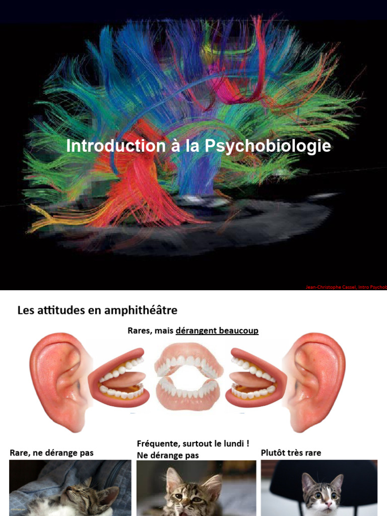 1_Intro_à_la_Psychobio_part1 | PDF | Comportement | Neuroscience