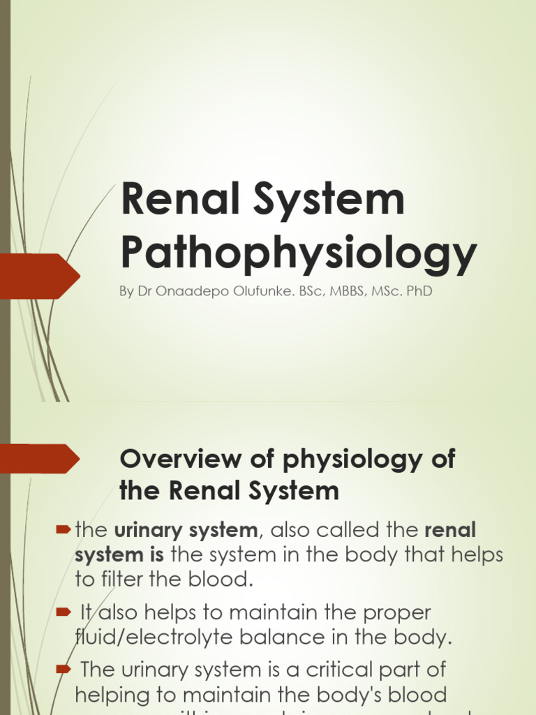 Pathophysiology of The Renal System For Pharmacy 2023 | PDF | Urinary ...