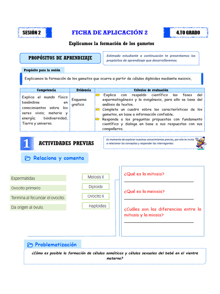 4° - Ficha - de - Aplicación-Sesión 2-Sem.1-Exp.7-Cyt | PDF | Cariotipo | Genética