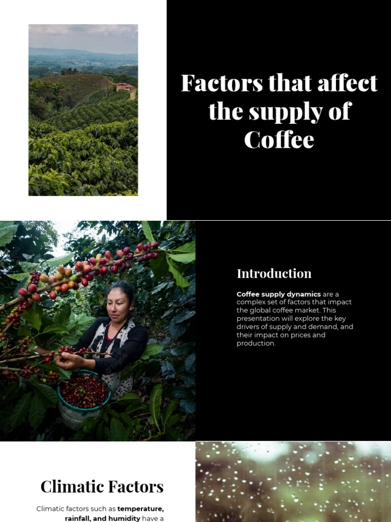Exploring Coffee From A Economics Perspective | PDF