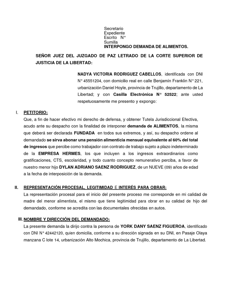 Demanda Nadya Rodriguez | PDF | Pensión alimenticia | Demanda judicial