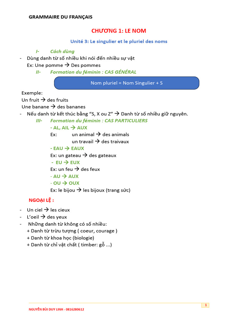 Le Singulier Et Le Pluriel Des Noms | PDF