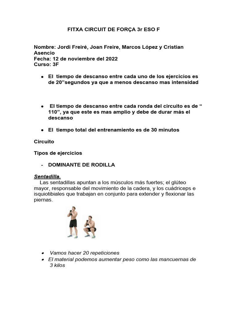 Ficha Definitiva y Corregida | PDF | Anatomía humana | Sistema musculoesquelético