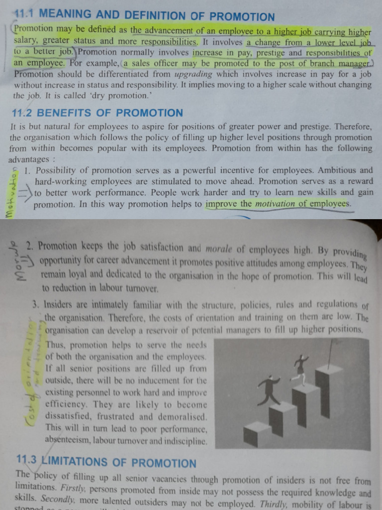 Promotion and Transfer | PDF | Psychological Theories | Psychological ...