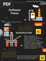 Manual Petrel Basico | PDF | Archivo de computadora | Ventana (informática)