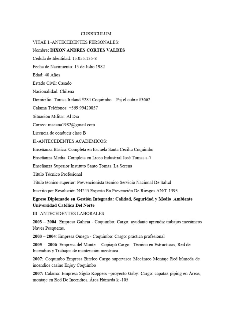 Curriculum Actualizado 2022 (PDF - Io) | PDF