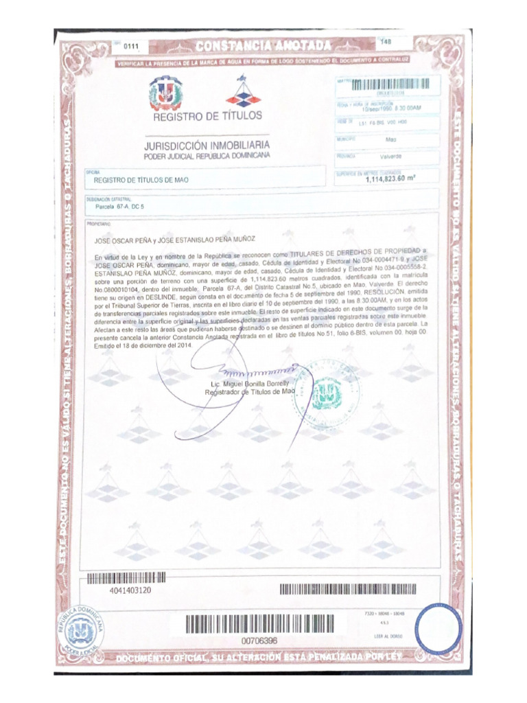 Carta Constancia Original | PDF