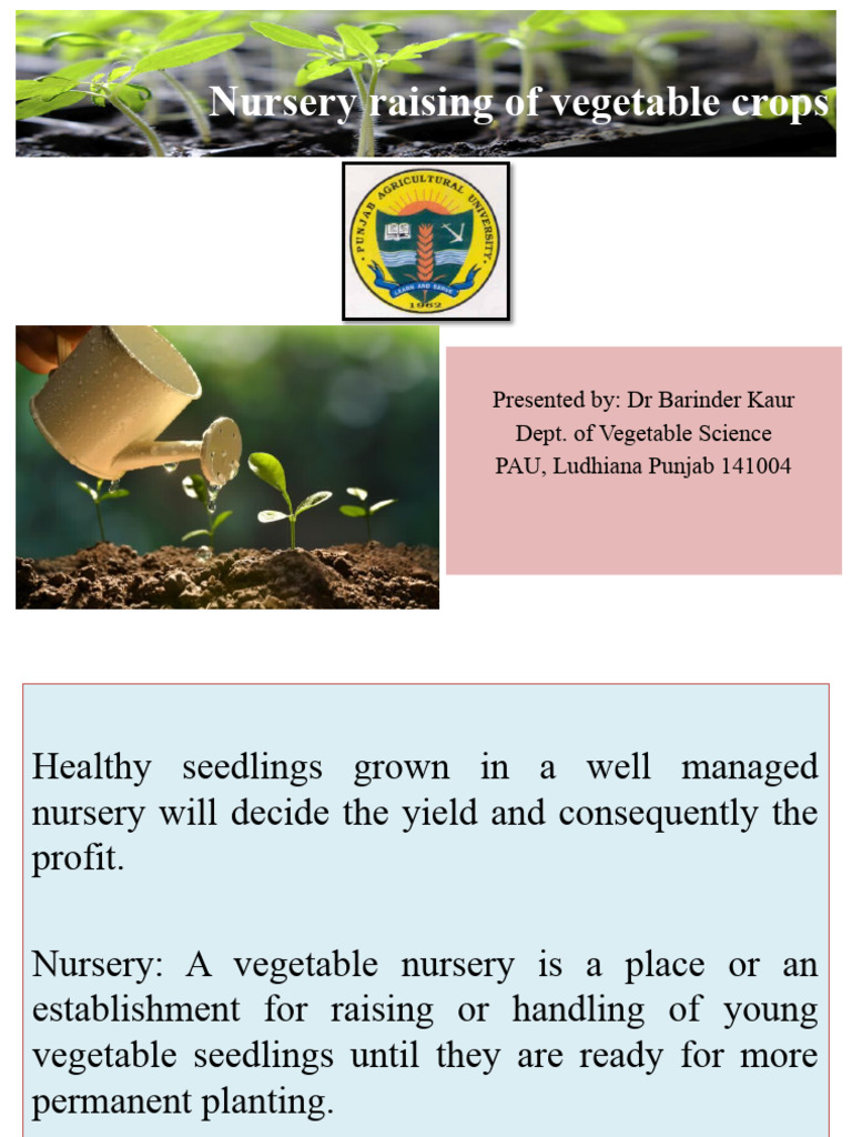Nursery Raising Techniques