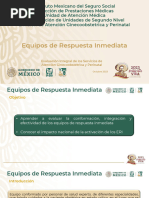 Funciones del Equipo ERIO en Obstetricia | PDF | Enfermería | Hospital