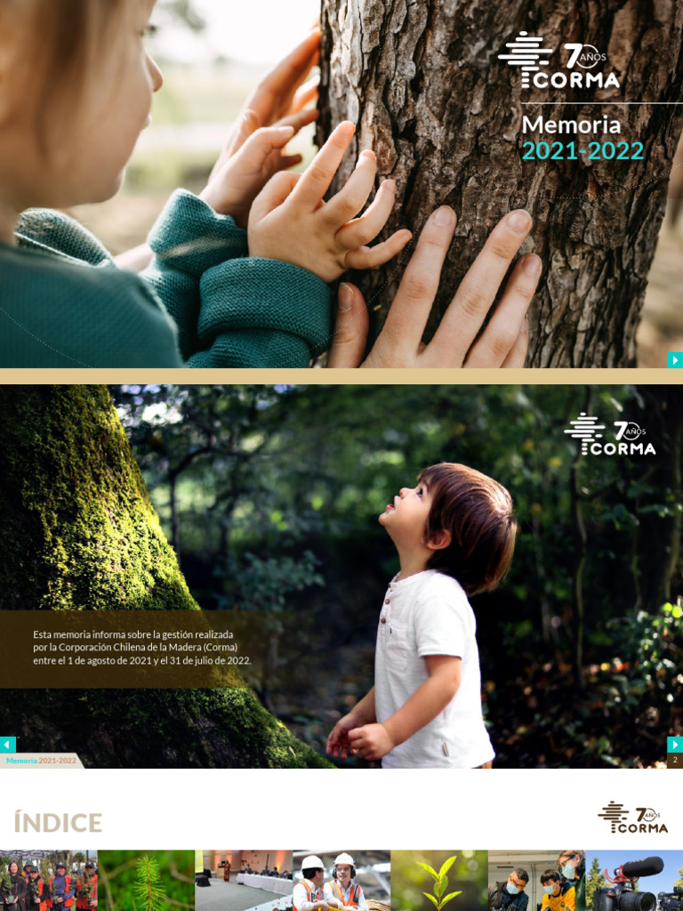 Apunte 4 Maderas Memoria-Corma - 2021-2022pdf | PDF | Chile | Sustentabilidad