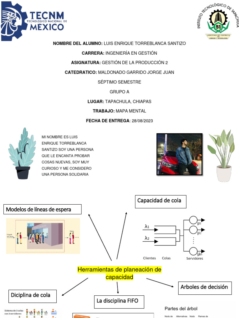 Herramientas de Planeacion de Capacidad (Mapa Mental) | PDF