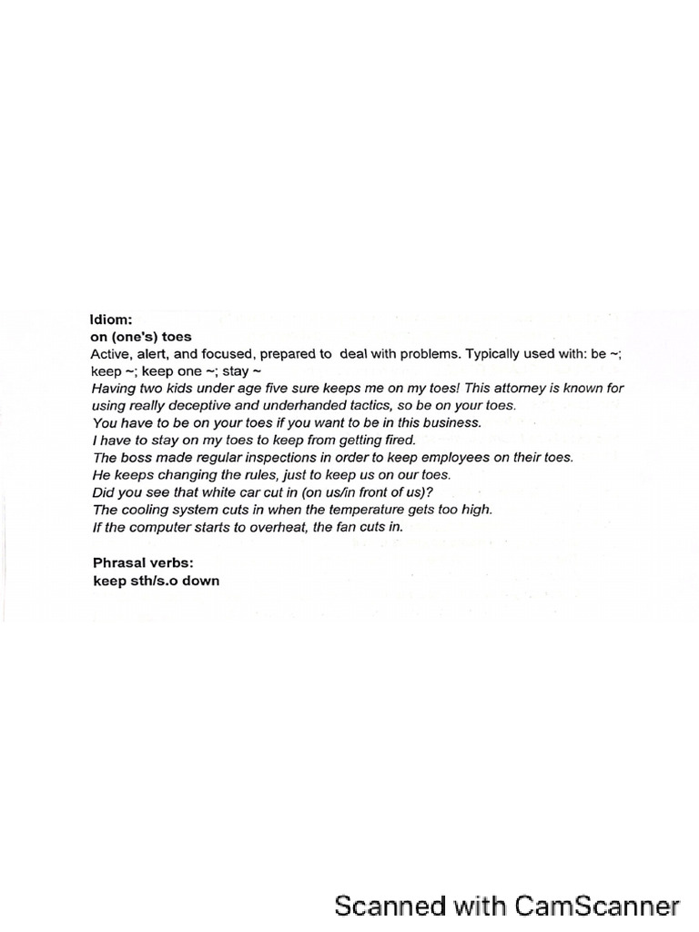 WEEK 6 - Idiom + Phrasal Verbs | PDF
