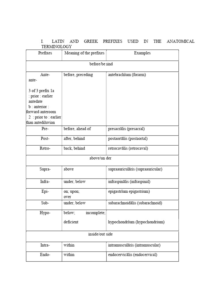 Locative Prefixes 2 | PDF | Anatomical Terms Of Motion | Skin