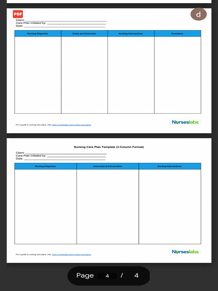 Nursing Care Plan Templates and Formats (1) .PDF Google Drive | PDF