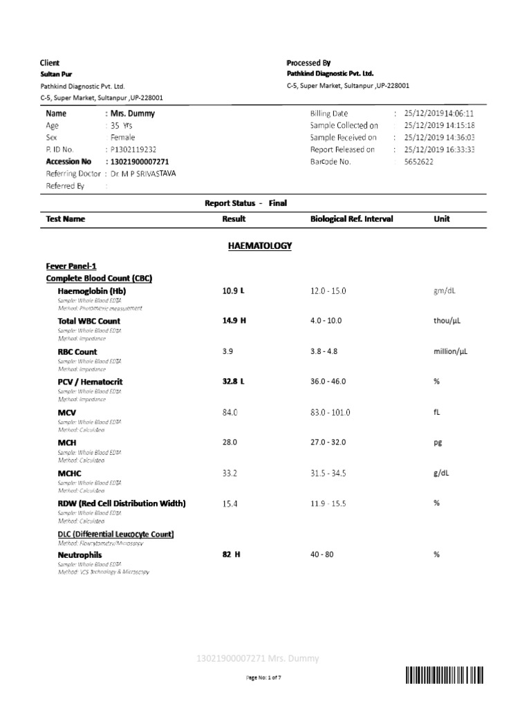 Report of Us | PDF | Blood | Physiology