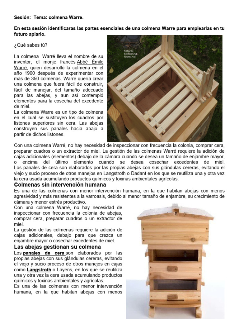 Sesión 43 | PDF | Miel | Colmena