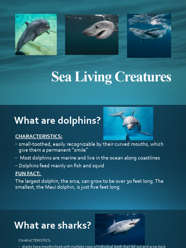 Sea Living Creatures | PDF | Cetacea | Fish