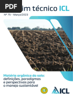 Catalogo Sementes Brasmax | PDF | Agricultura