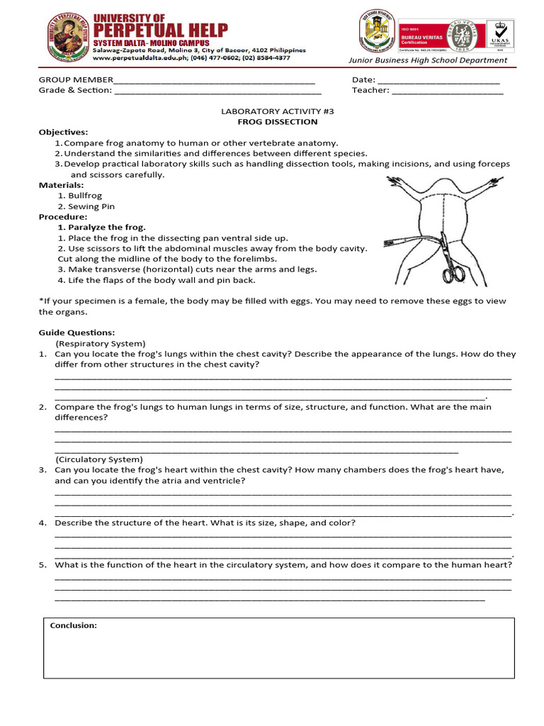 LABORATORY ACT - Frog Dissection Observation Paper | PDF | Heart | Frog