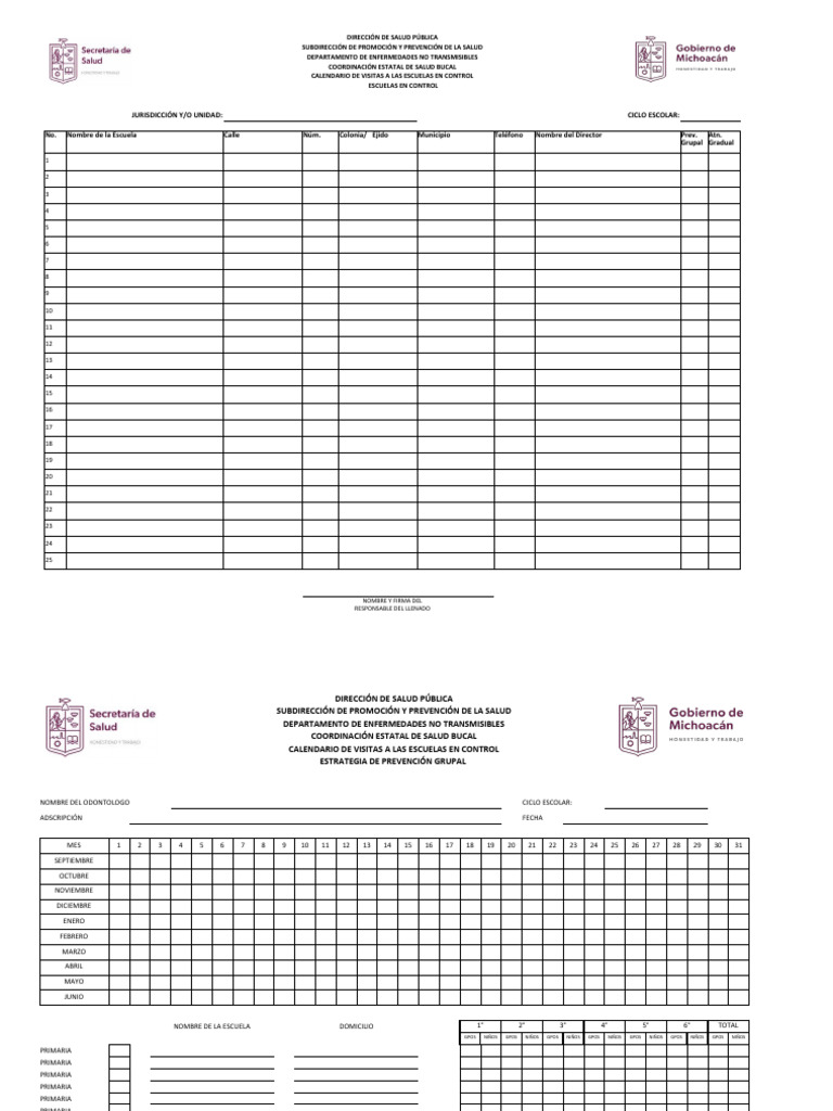 Formatos Del Manual SBPE | PDF
