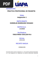 Manual de Prácticas Profesionales SUPEP V2 | PDF | Point and Click ...