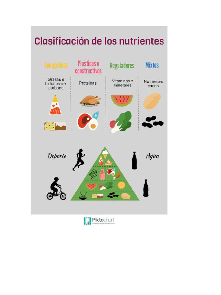 Infografia de Gaboo | PDF