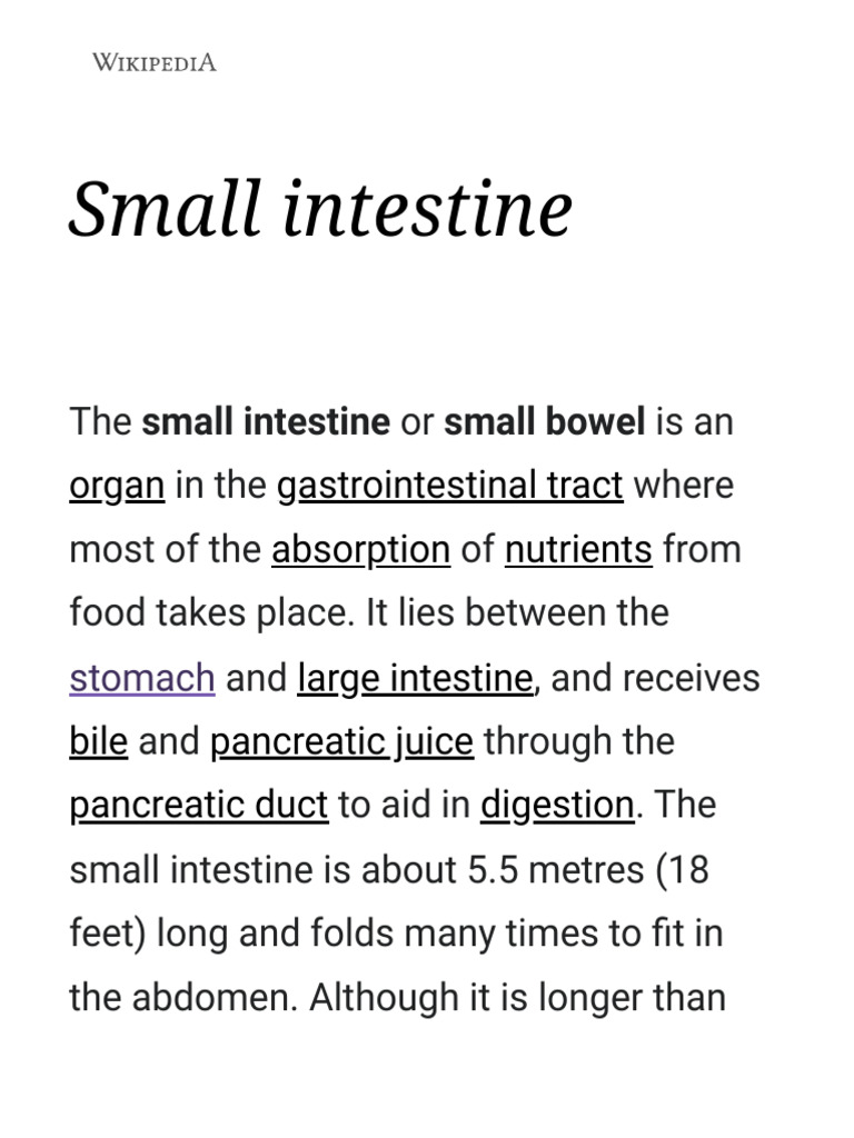 Small Intestine - Wikipedia | PDF | Small Intestine | Human Digestive ...