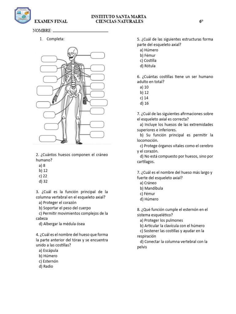 Examen Final 6° | PDF | Esqueleto | Hueso