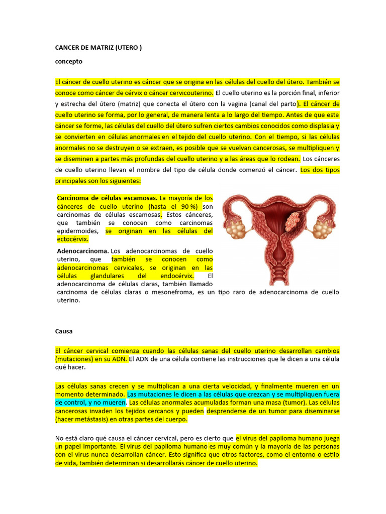 CANCER DE MATRIZ Resumen | PDF | Cáncer de cuello uterino | Cáncer