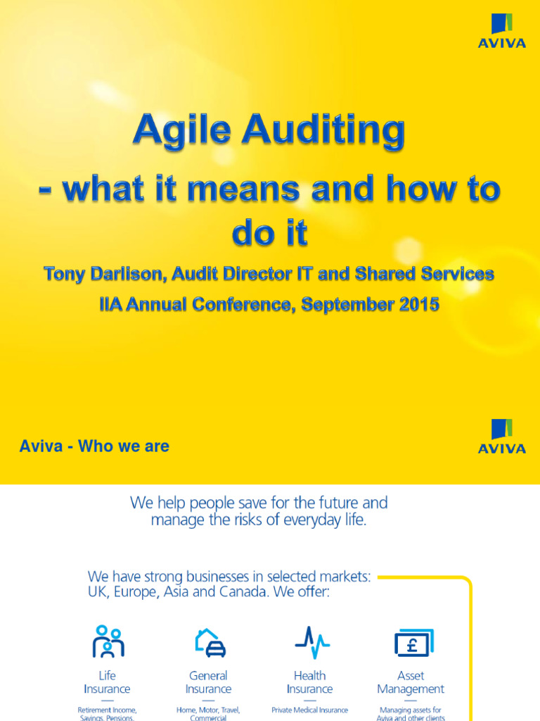 Tony Darlison Day 1 | PDF | Agile Software Development | Audit