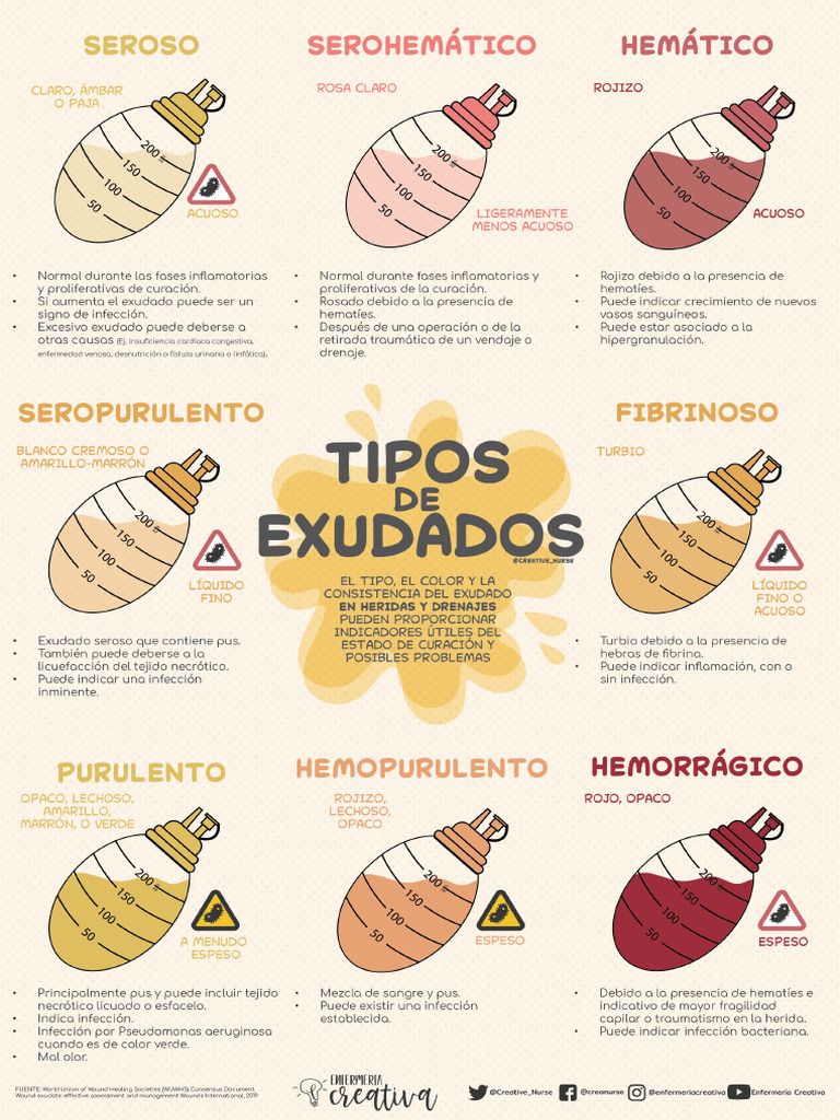 Tipos de Exudados | PDF