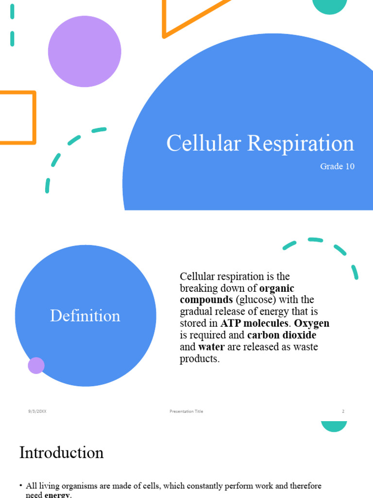 Cellular Respiration | PDF | Cellular Respiration | Fermentation