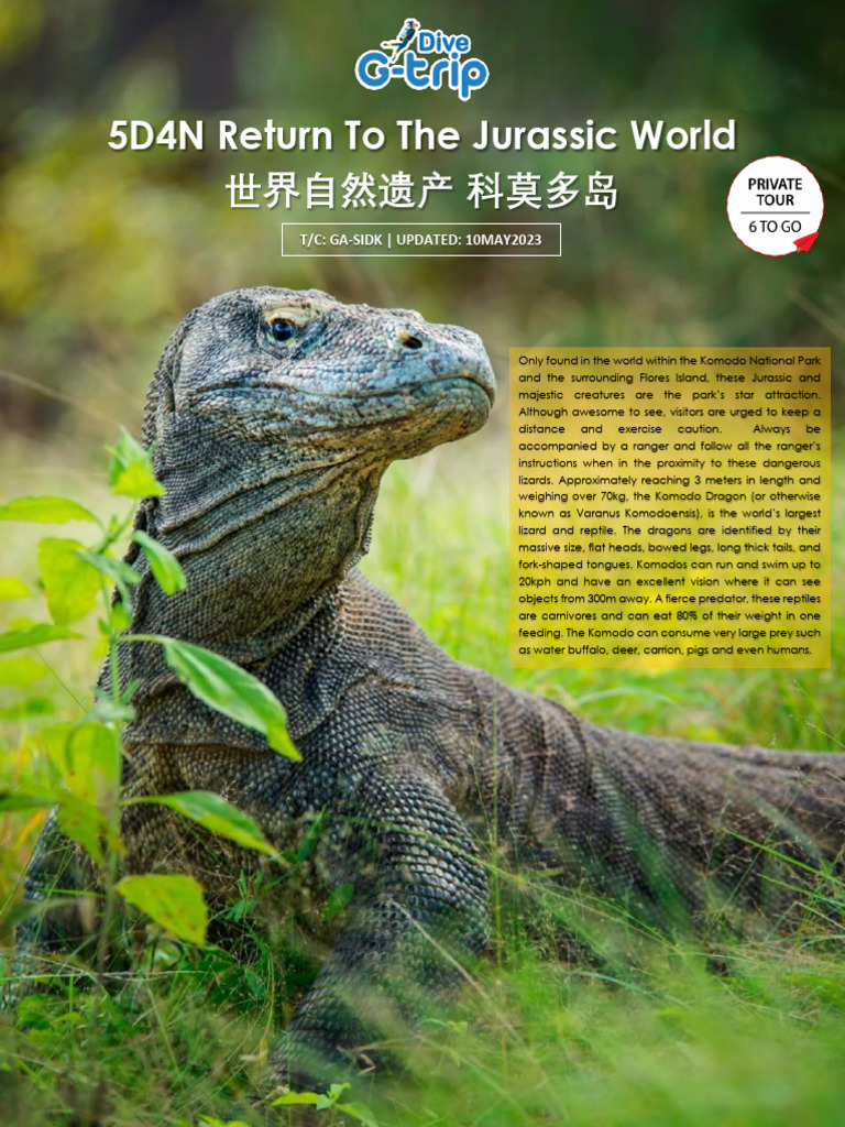 5D4N Komodo Island | PDF | Komodo Dragon | Fee