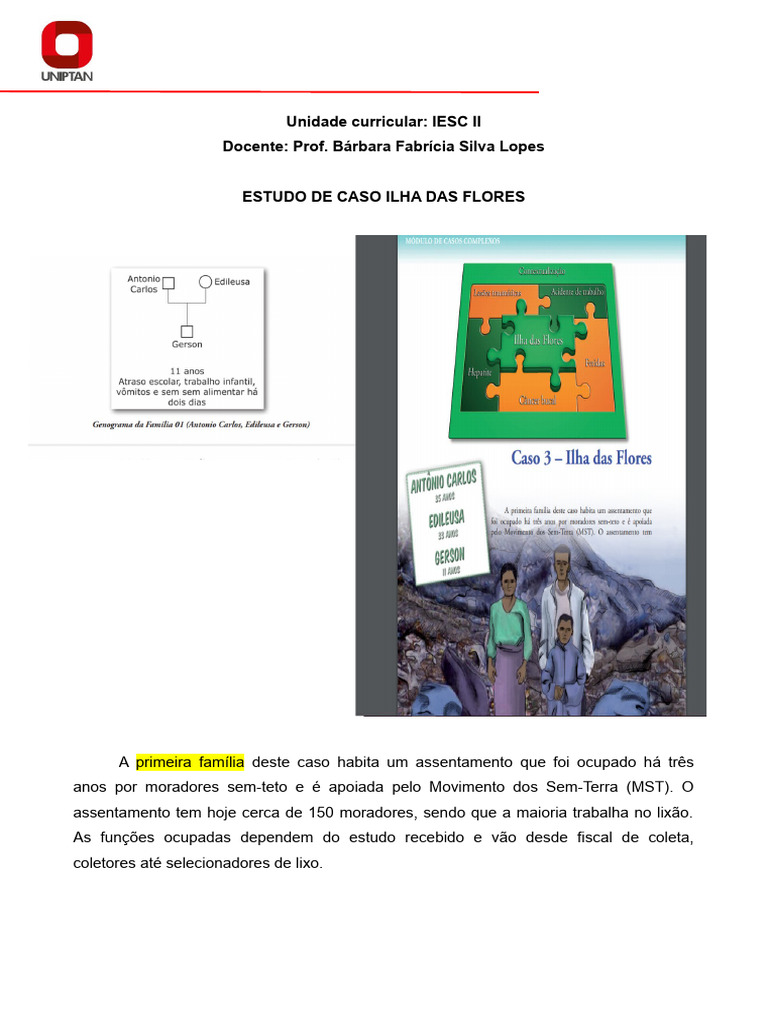 Aula 4 Trabalho em Equipe Na APS Caso Ilha Das Flores | PDF | Enfermagem | Desperdício