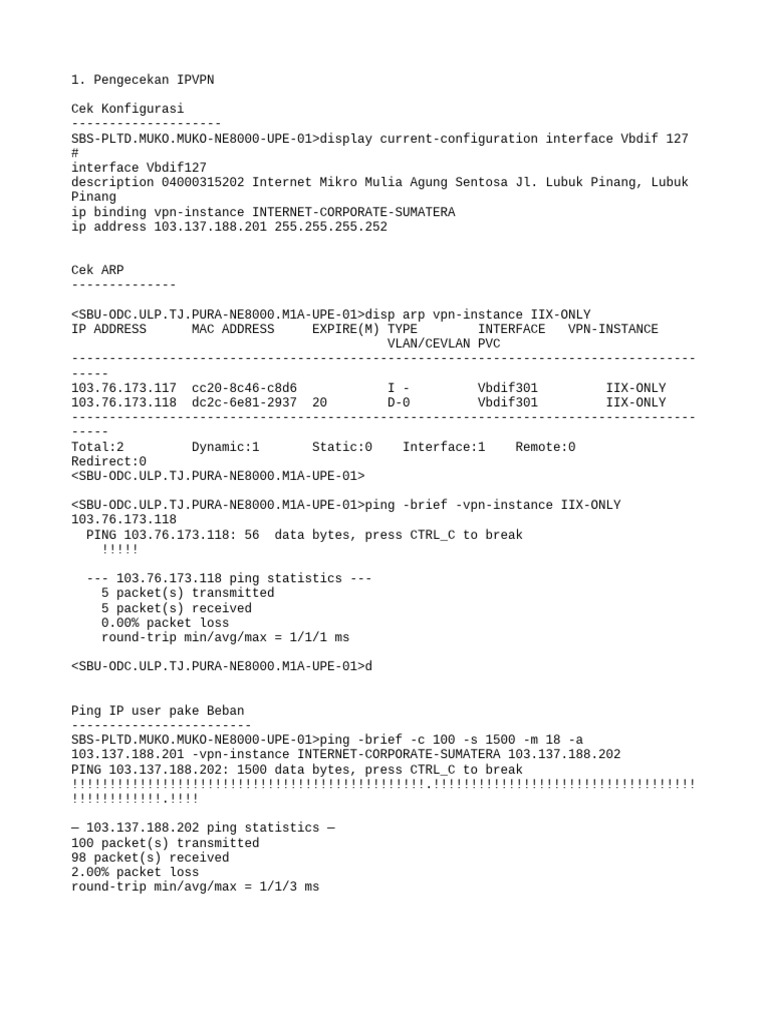 NE8000 Command | PDF | Internet Protocols | Communications Protocols